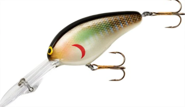 Norman DD22 Crankbait – Proshoptackle.com